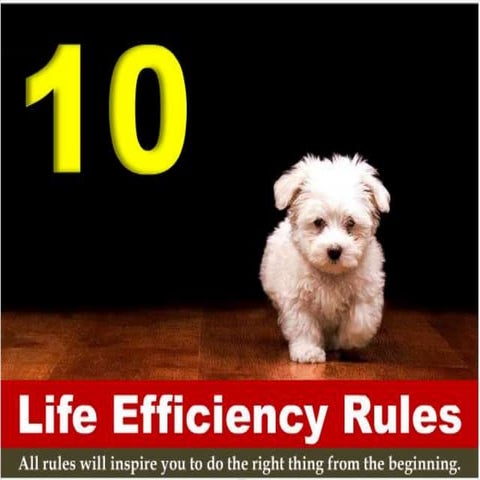 10 Life Efficiency Rules | PPSX