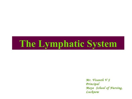 Lymphatic system | PPT