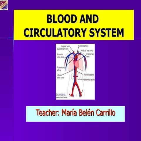 Blood And Circulatory System | PPT | Blood Disorders | Diseases and ...