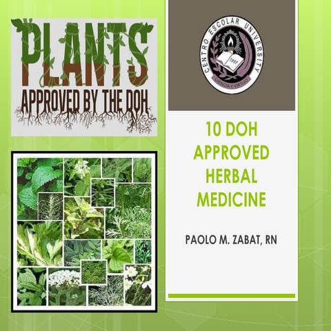 10 DOH Approved Herbal Medicine | PPTX