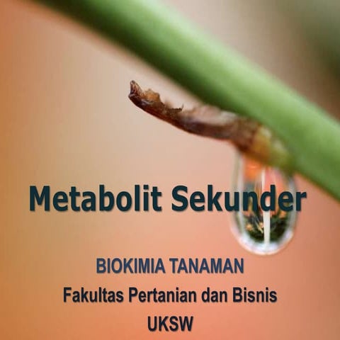 10_Metabolit_Sekunder.pptx