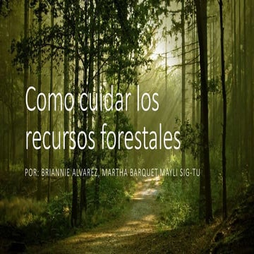 Recursos Forestales | PPTX