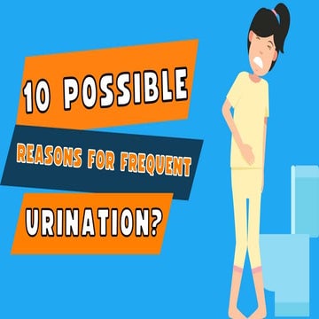 What Are The 10 Possible Reasons For Frequent Urination? | PPT