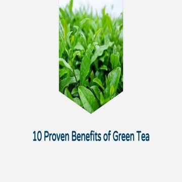 10 Proven Benefits of Green Tea | PDF | Herbs and Supplements ...