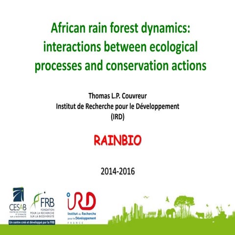 African rainforest dynamics: interactions between ecological processes ...