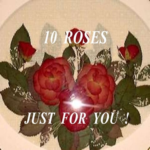10 roses | PPS
