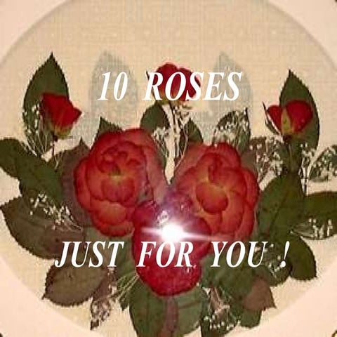 10 roses just_for_u | PPT