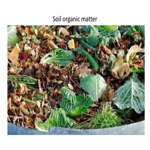 10 Soil organic matter 01.pptx.pdfhgfhfhgh | PDF