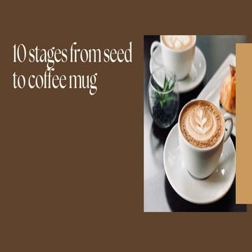 10 stages from seed to coffee mug | PPT