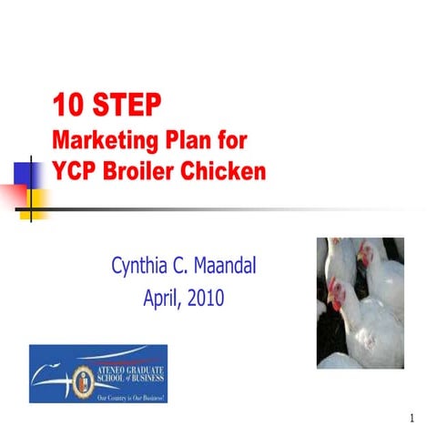 10 step product marketing plan | PPTX
