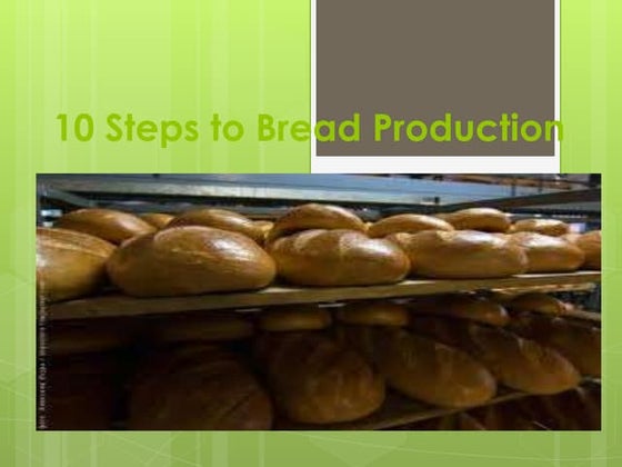 Methods of bread making | DOCX | Desserts and Baking | Food & Drink