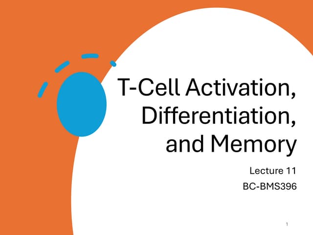 T cell development, maturation, activation and differentiation | PPTX