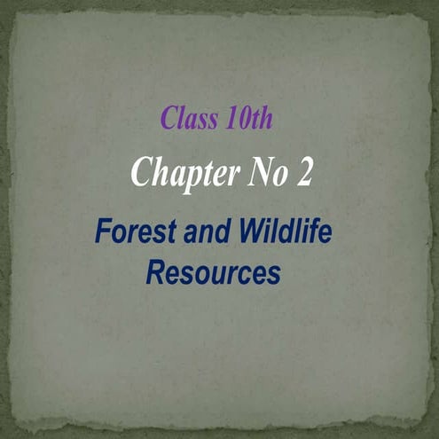 Forest and Wildlife Resources | PPT