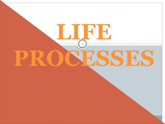 Mechanism of stomatal regulation | PPT