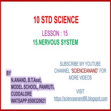 10th STD 15. NERVOUS SYSTEM ALL STRUCTURES(1).pptx