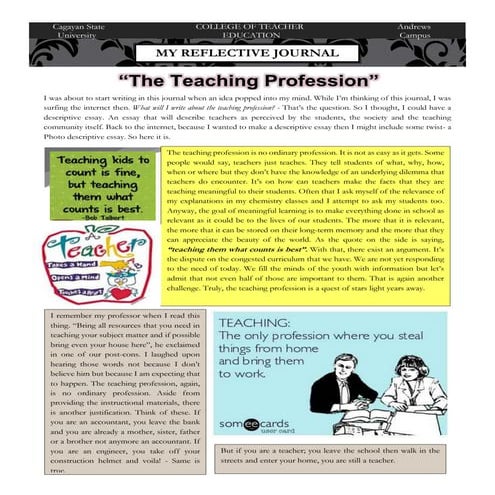 The Teaching Profession | PDF