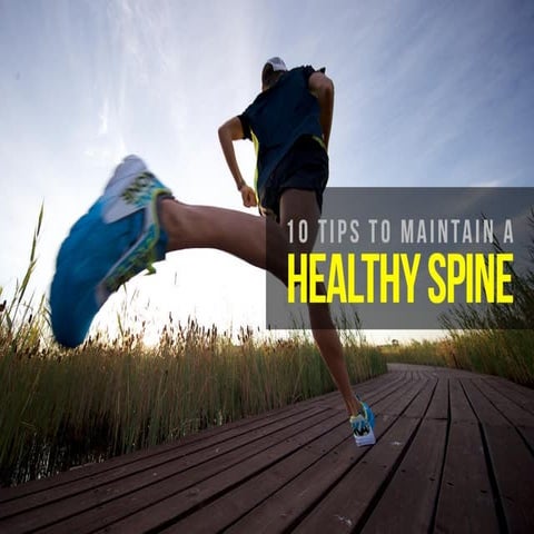 10 tips to maintain a healthy spine | PDF