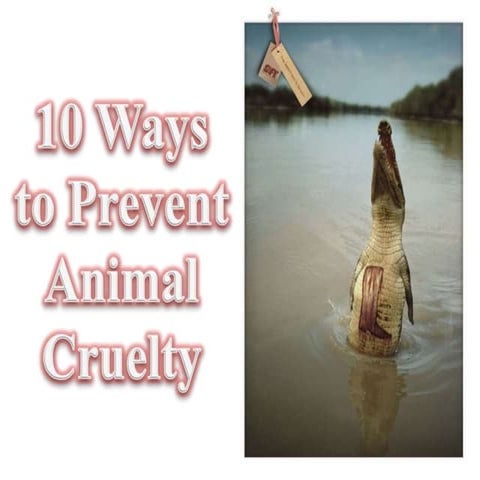 10 ways to prevent animal cruelty | PPT