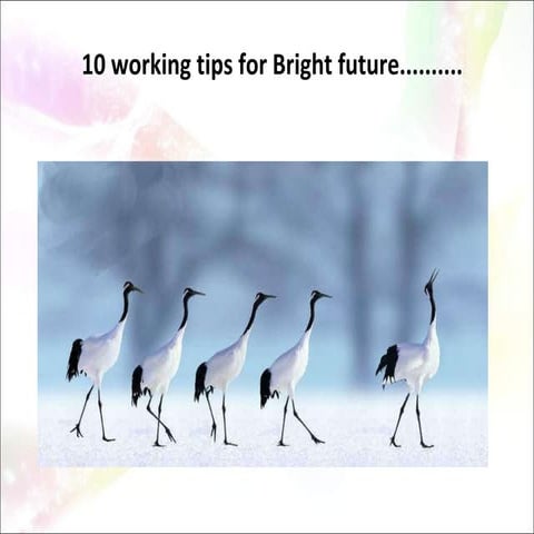 10 Working Tips For Bright Future | PPS