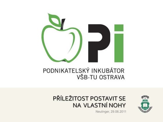 Základy účetnictví pro neekonomy | PDF