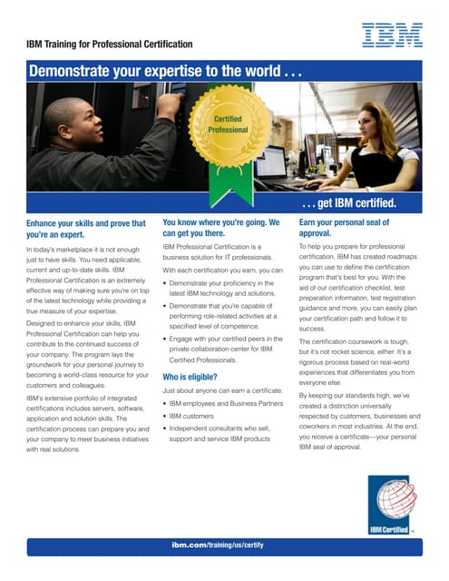 The IBM Way | PDF