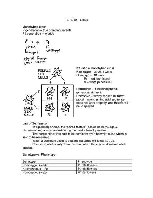 Incomplete dominance | PPTX | Genetics | Science