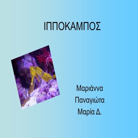 ο μοναδικός ιππόκαμπος | PPT