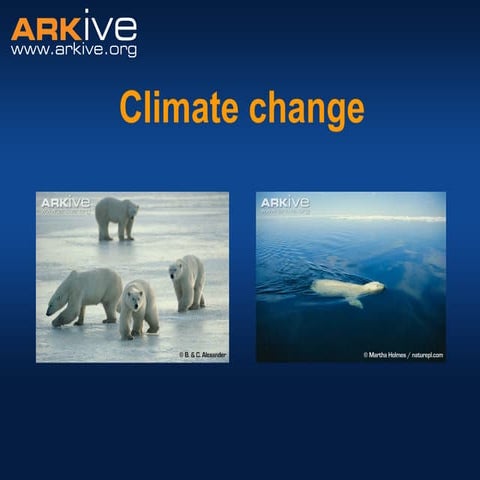 Climate_Change_and_Its_Effects.pptx----- | PPTX