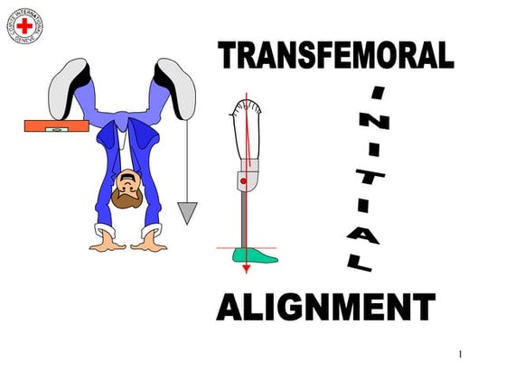 Transtibial Dynamic Alignment | PPT | Death, Injury, or Military ...
