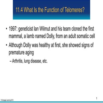 UU_transcript_TH_ | PDF