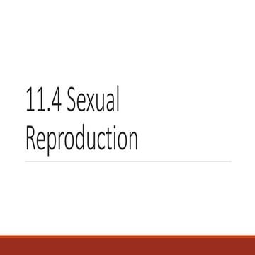 11.4 sexual reproduction | PPTX