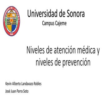 Niveles De AtenciÓn En Salud I