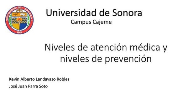 Niveles De AtenciÓn En Salud I