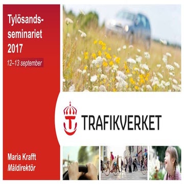Tisdag 13.20 Maria Krafft Matteo Rizzi 2018 | PPTX