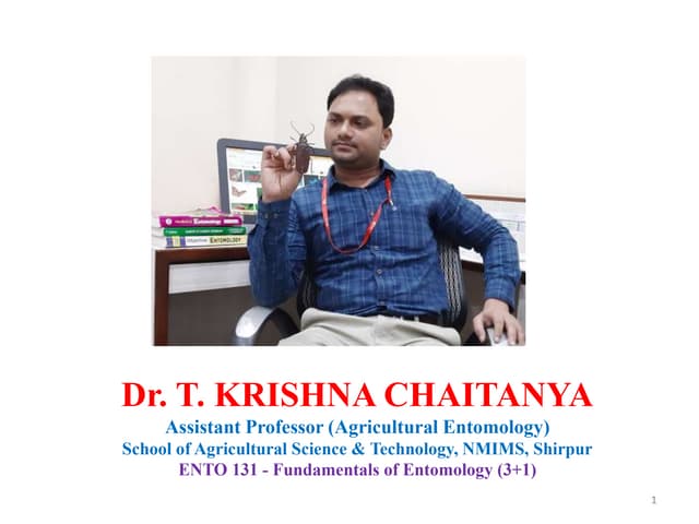 Insect thorax : Its areas, structure, function and modification in ...