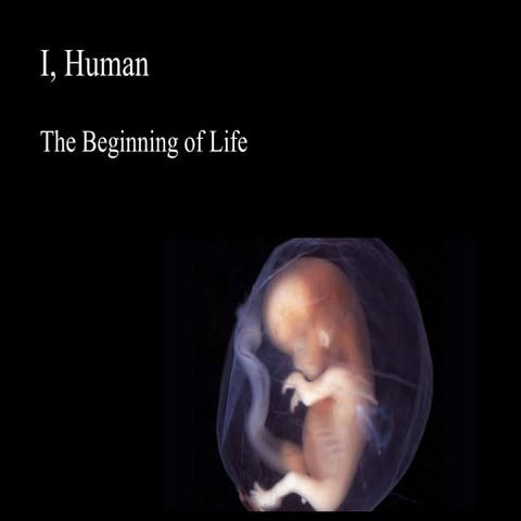 11. beginning life | PPT