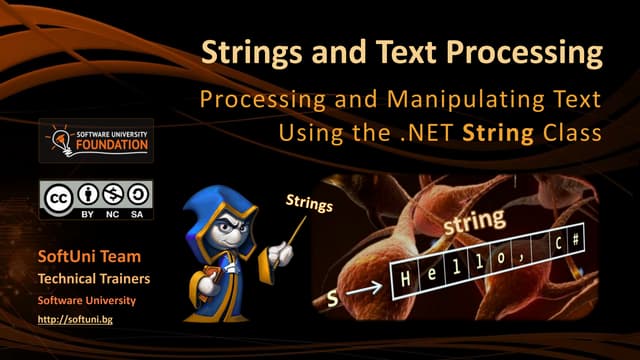 13 Strings And Text Processing Ppt 7424