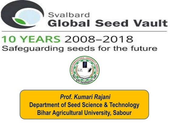Classification of seeds | PDF