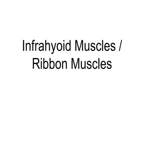 Infrahyoid muscles | PPTX