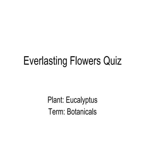 11 20 Everlasting Flowers Quiz | PPT