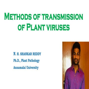 Methods of transmission of plant viruses | PDF