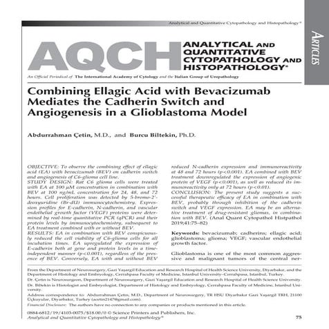 Combining Ellagic Acid with Bevacizumab Mediates the Cadherin Switch ...