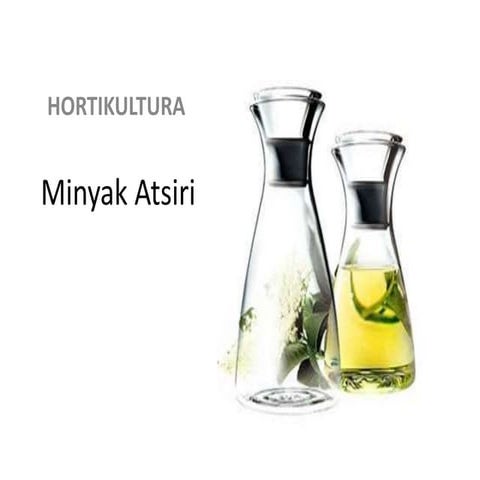 11. Minyak Atsiri.pptx