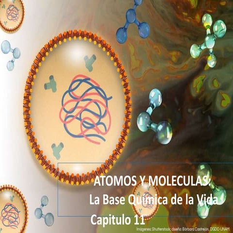 11. ATOMOS Y MOLECULAS BIOLOGICAS.ppt