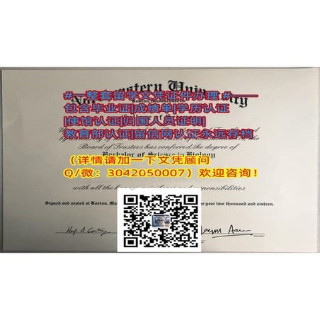 11东北大学.pdf
