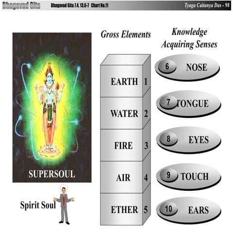 11. The Five Gross Elements (C).ppt