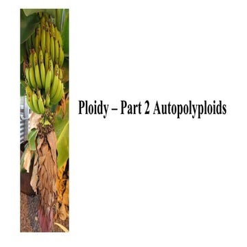 11.ploidy-2_21_ph.pptx