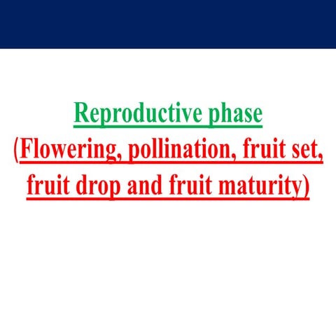 11. Reproductive phase: Plant growth and development.pptx