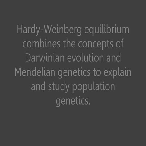 11. Hardy-Weinberg Principle.ppt Genetics | PPT