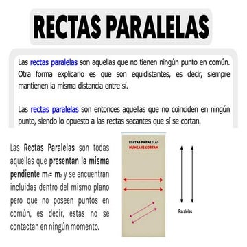 Rectas Paralelas y Rectas Perpendiculares | PDF